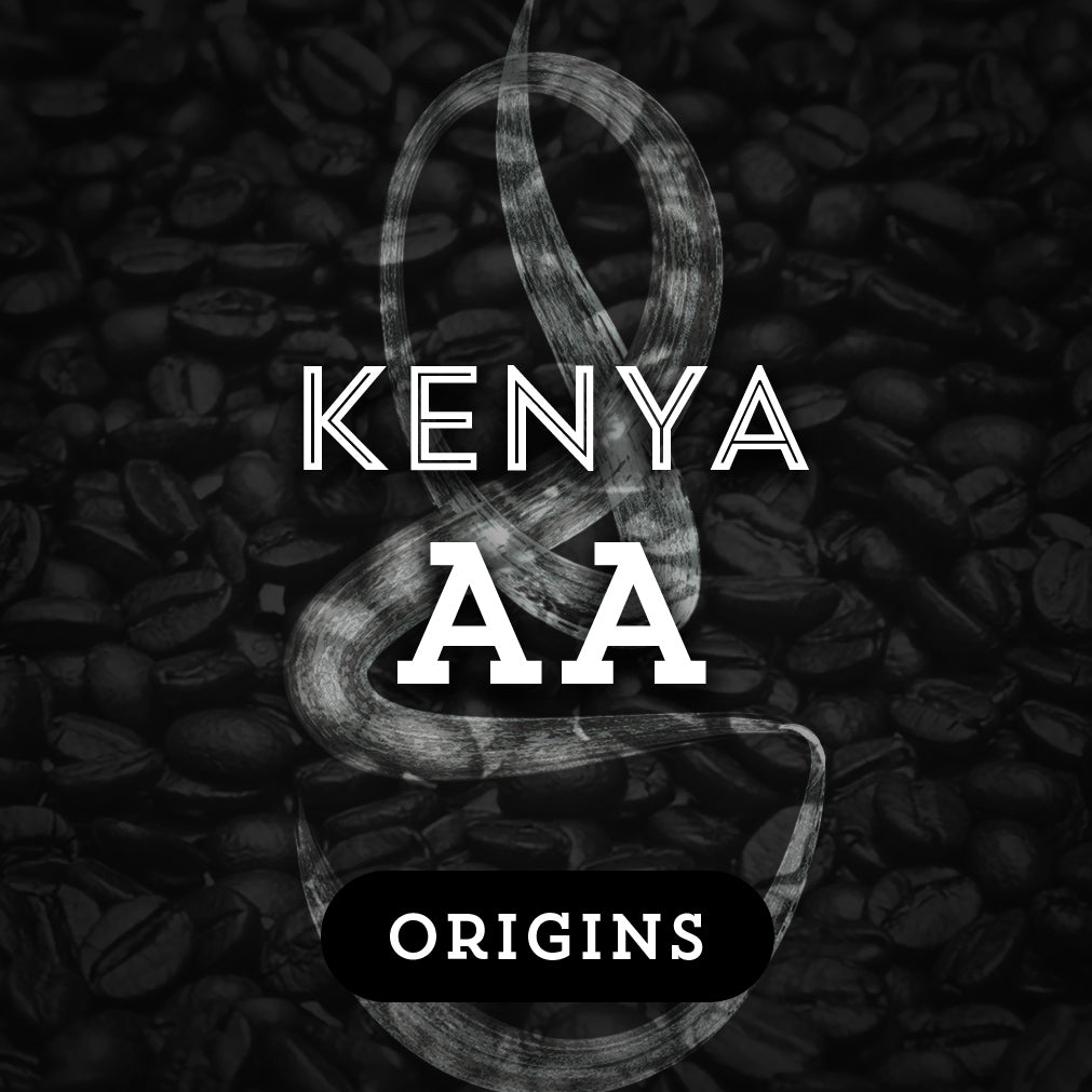 Kenya AA | Buy Coffee from Grind Roast Masters | Coffee